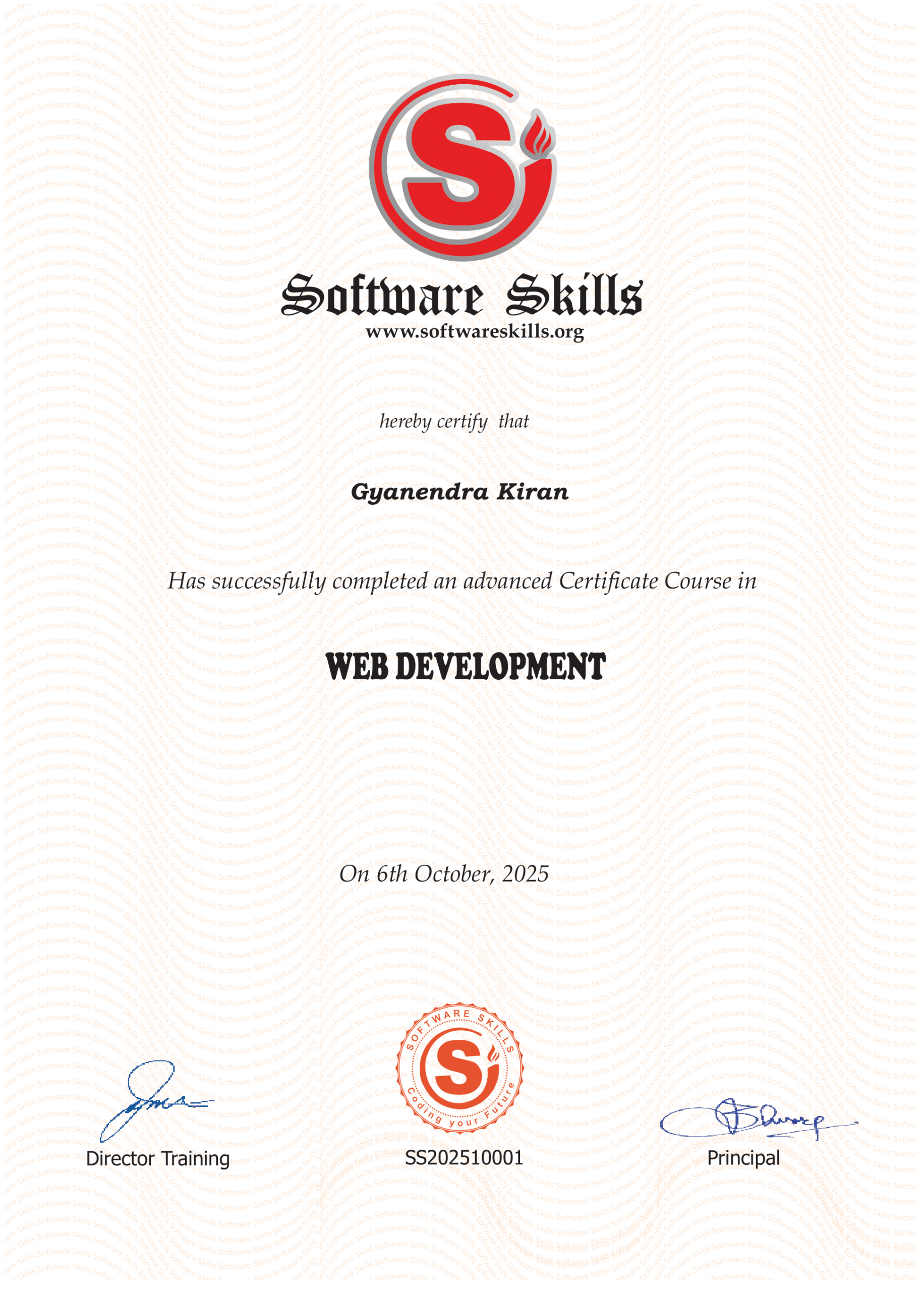 Web Development - Software Skills